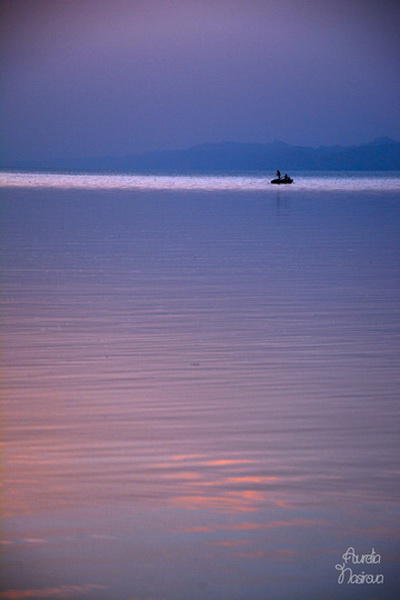 Beauty of Mingachevir reservoir PHOTO