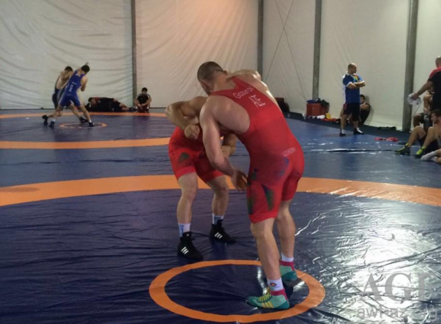 National freestyle wrestlers gear up for Olympic Games [ PHOTO]