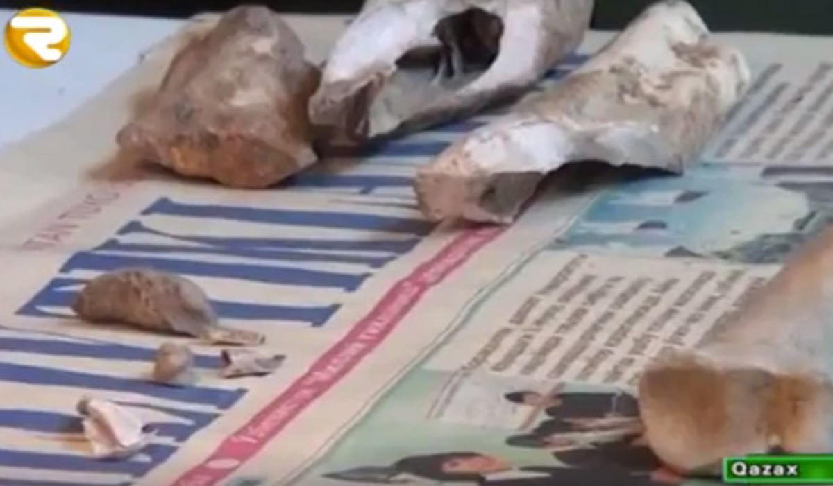 Neolithic Farming Tools