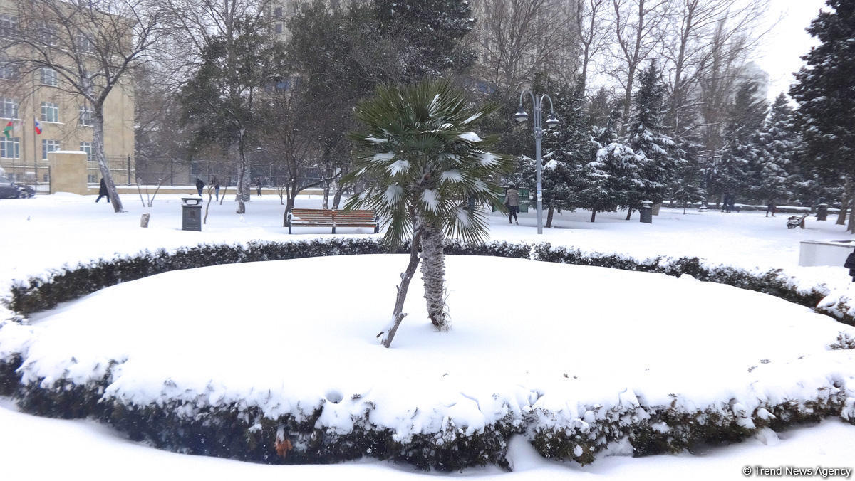 Beautiful pics of Baku covered in Snow [PHOTO]
