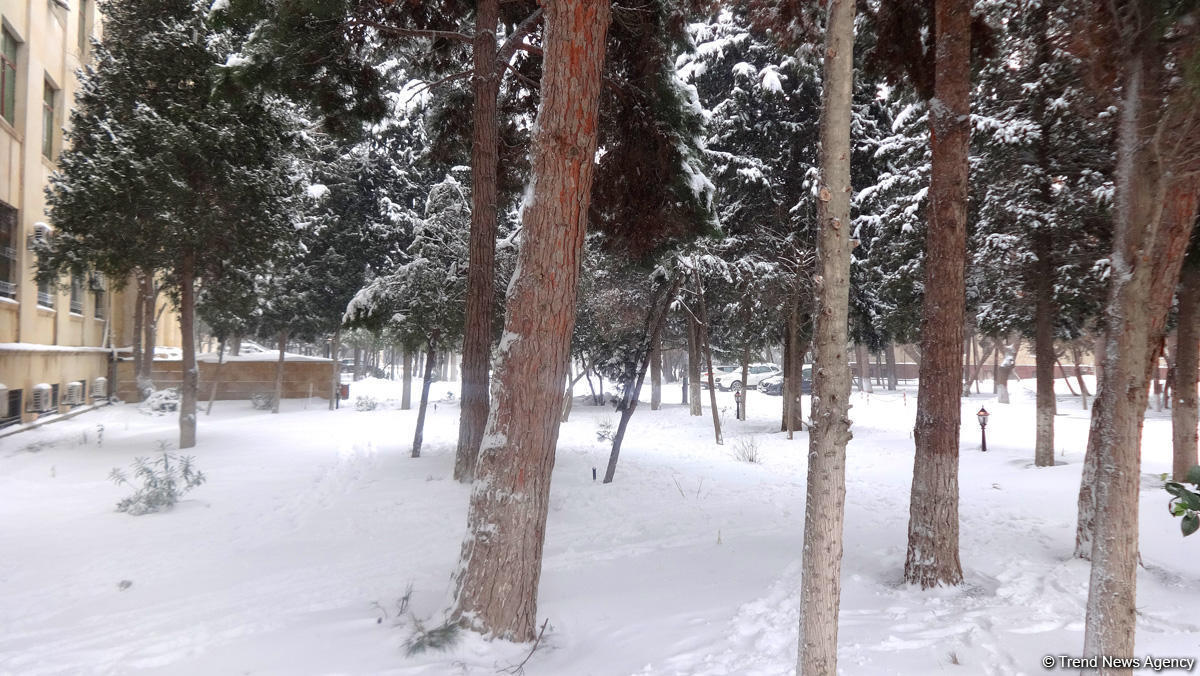 Beautiful pics of Baku covered in Snow [PHOTO]