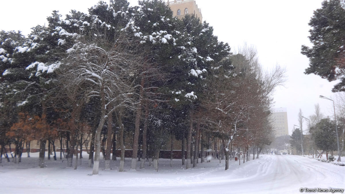 Beautiful pics of Baku covered in Snow [PHOTO]