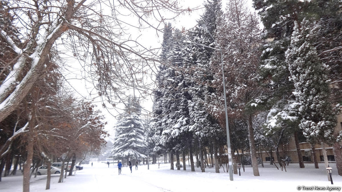 Beautiful pics of Baku covered in Snow [PHOTO]