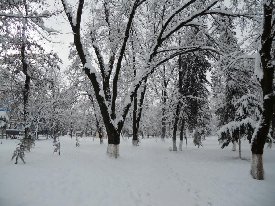 Breathtaking photos of Zagatala region [PHOTO]