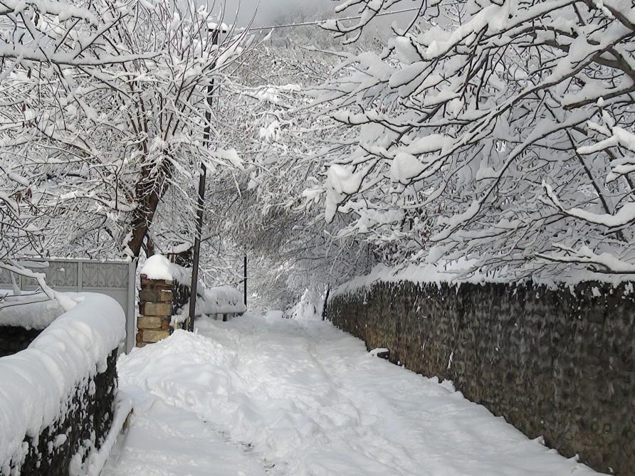 Breathtaking photos of Zagatala region [PHOTO]