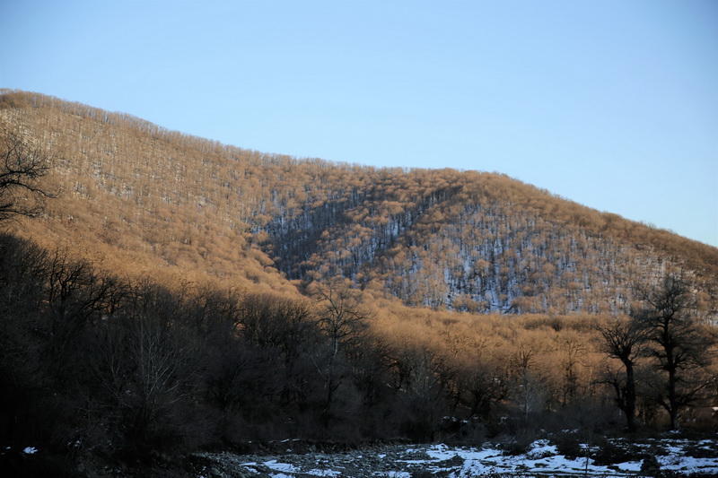 Distinctively charming nature of Oghuz [PHOTO]