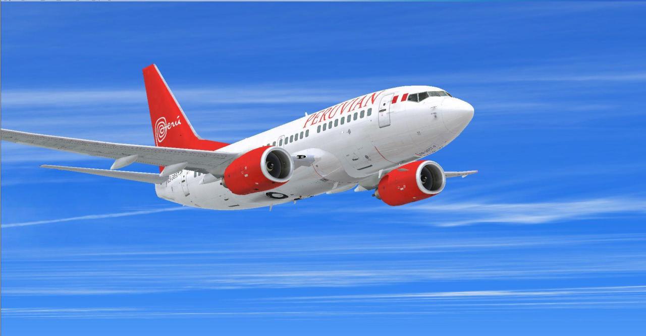 Over 25 passengers injured as plane bursts into flames after landing in ...