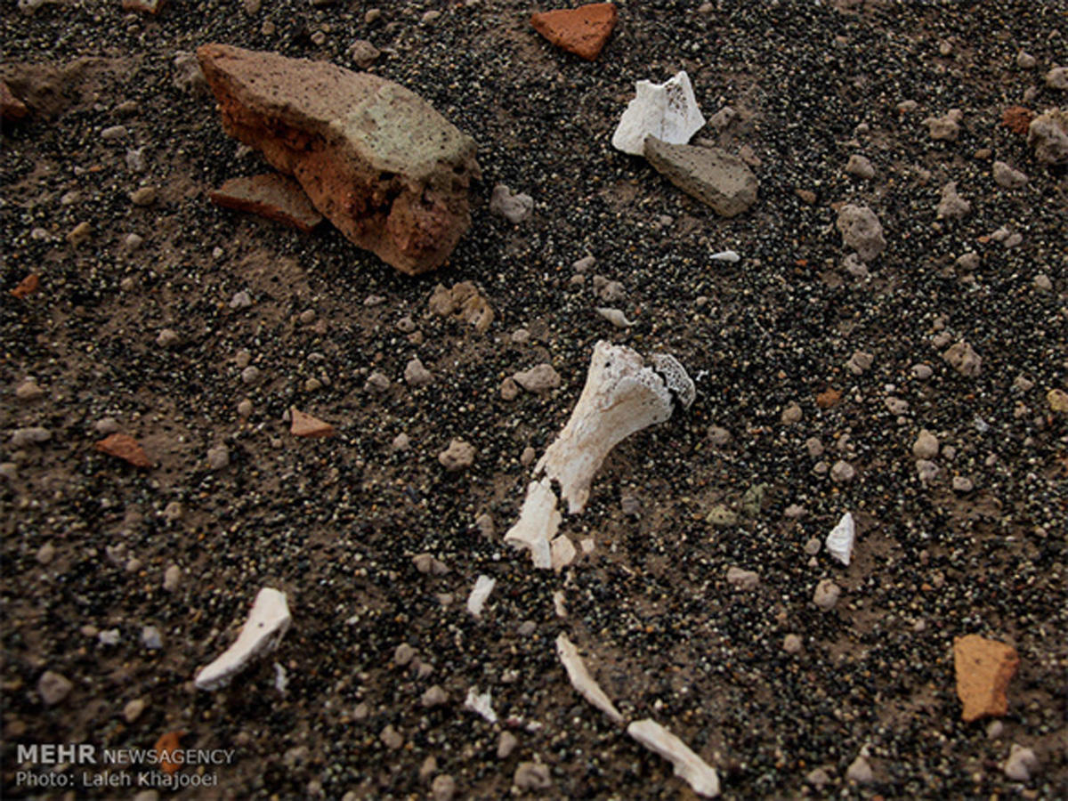 Sandstorm unearthed ancient city in Iran [PHOTO]