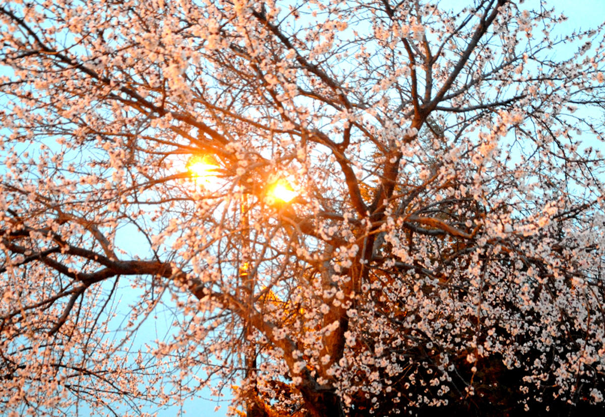 Enjoy last days of spring