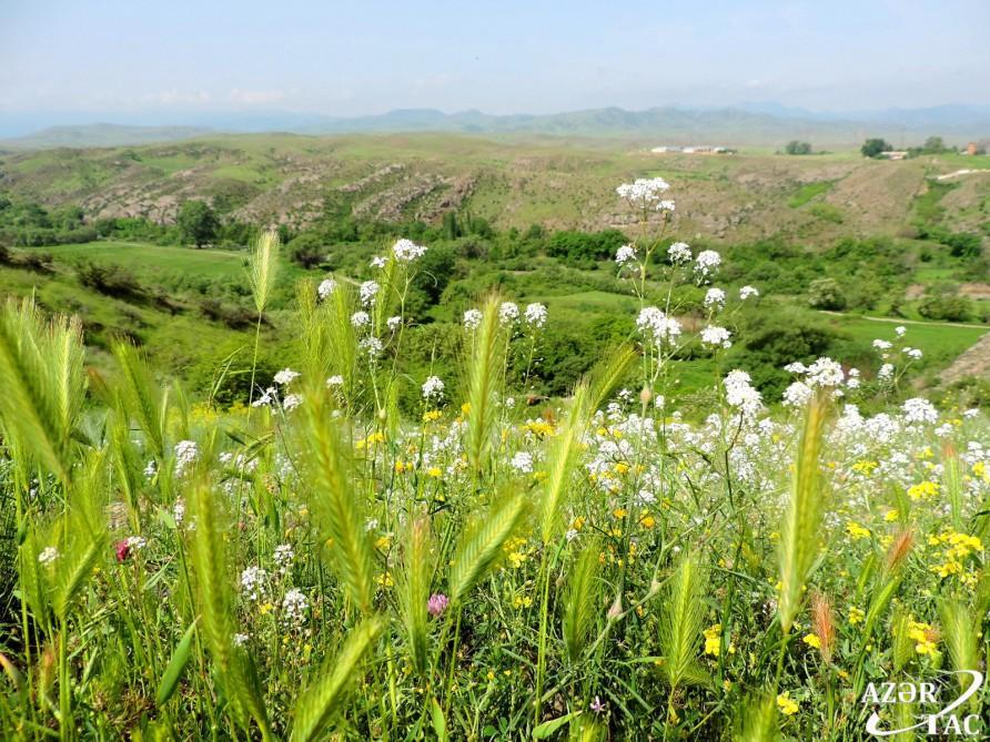 Discover beauty of Ganja [PHOTO]