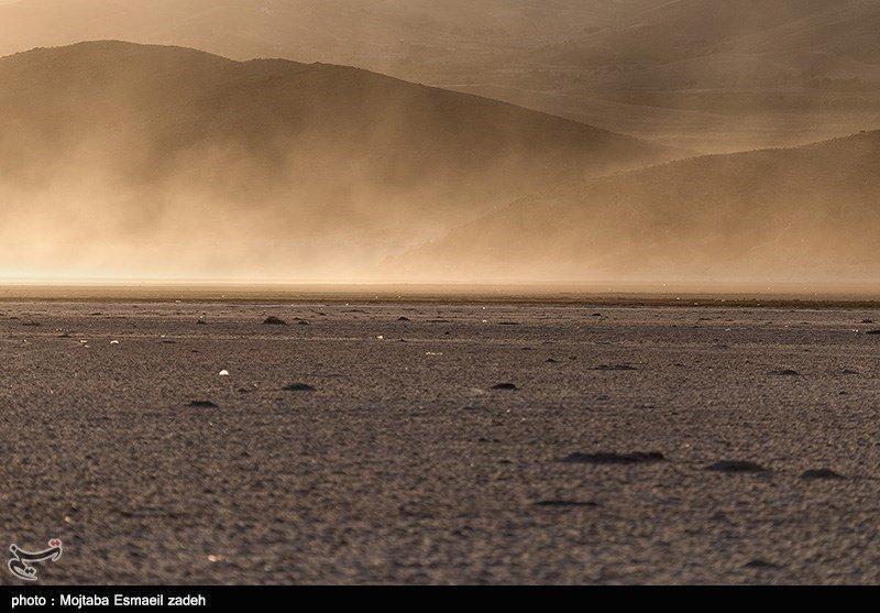Concerns grow over salt storms in northwestern Iran [PHOTO/VIDEO]