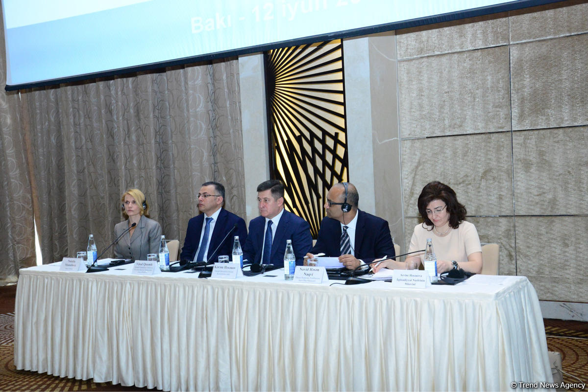 Unified database of large state-owned companies created in Azerbaijan ...