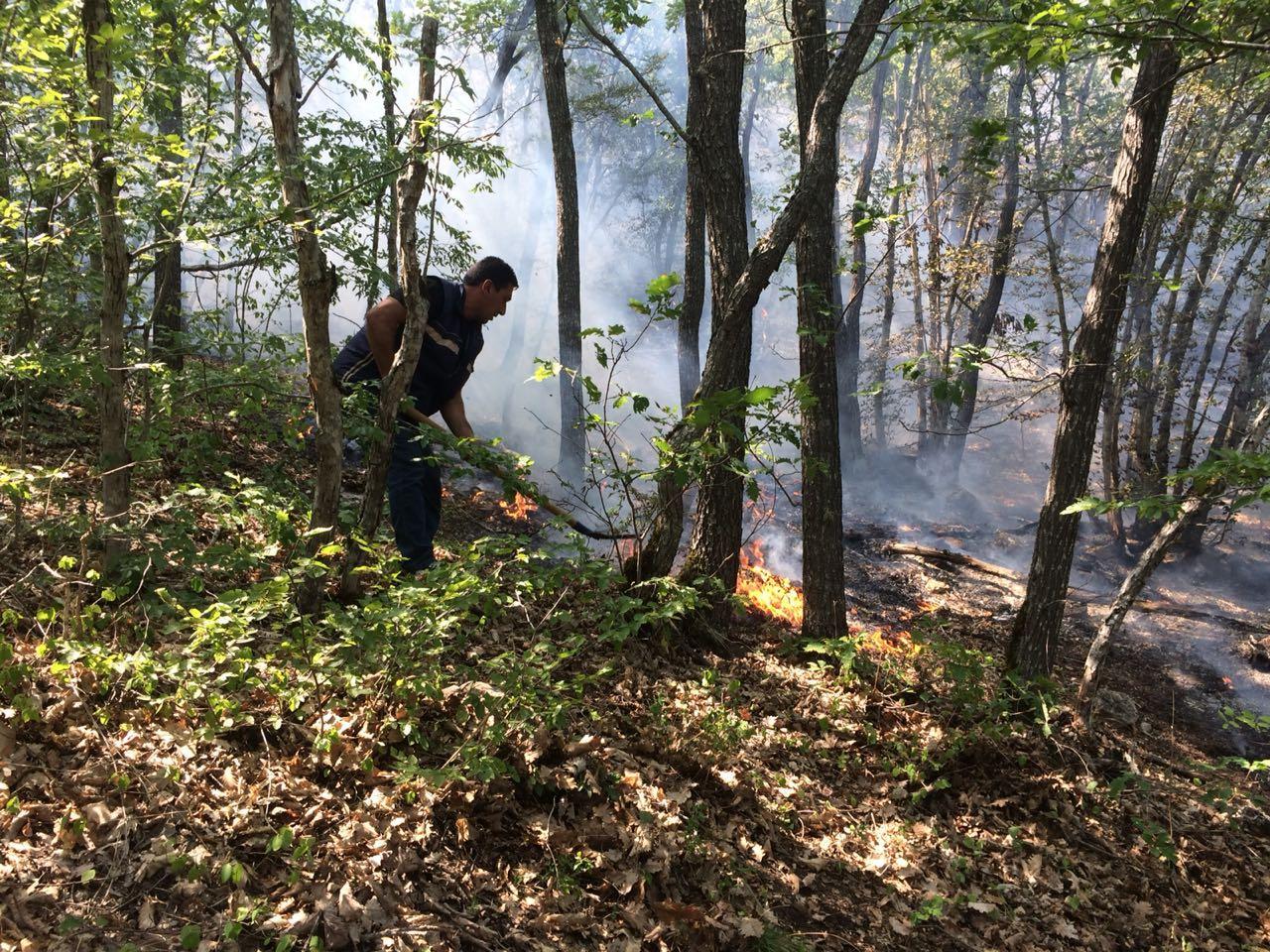 Work continues to extinguish fire in Azerbaijan's Altyaghach national ...
