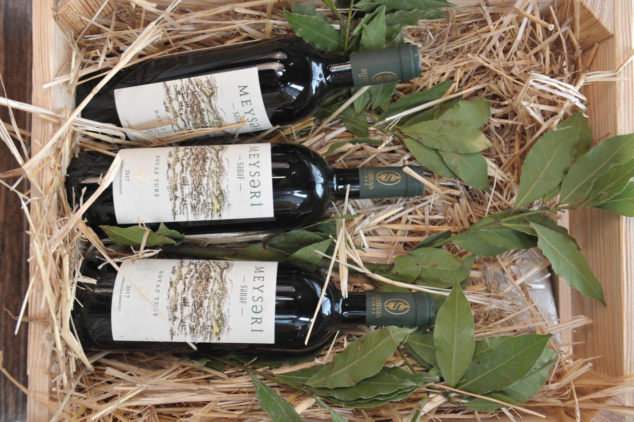Wine of "Meysari" brand to increase Azerbaijan’s export potential [PHOTO]