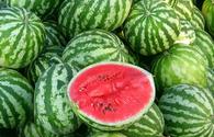 Watermelon and its poisonous effects