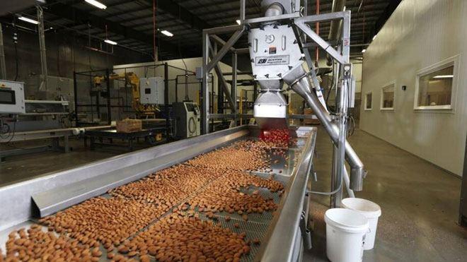 Georgia intends to increase almond production - AWPA