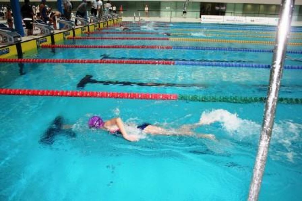 Open Summer Swimming Championship starts in Baku [PHOTOS]