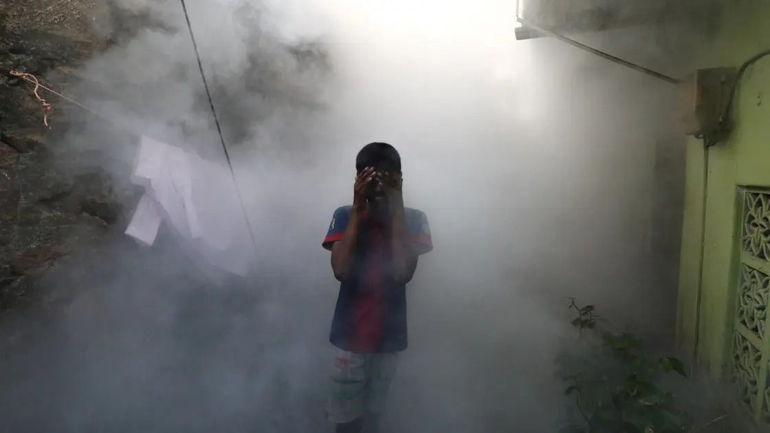 World at risk of record dengue infections from rising temperatures ...