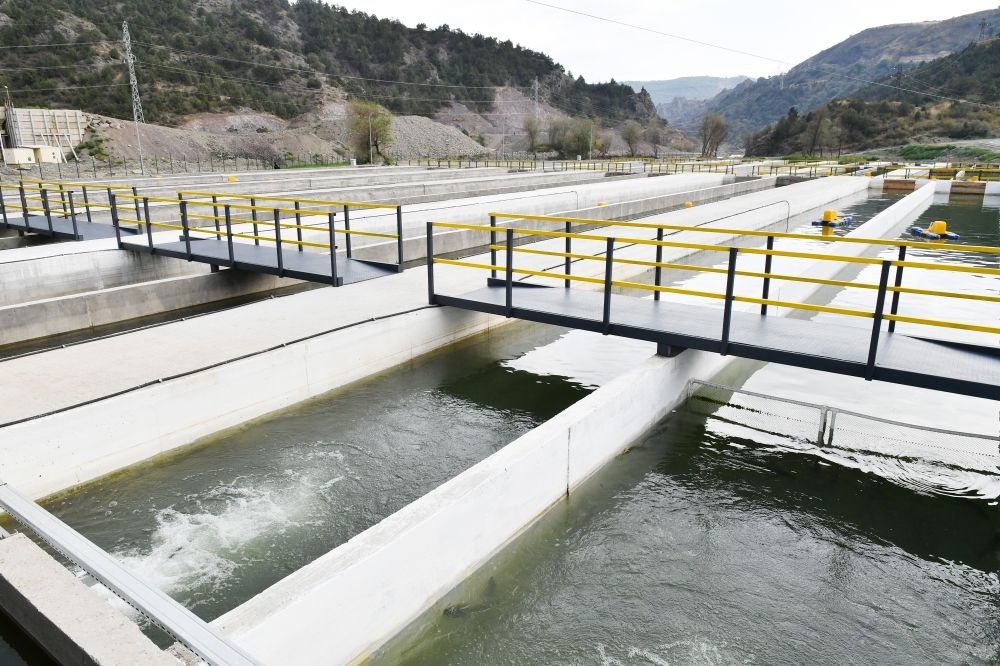 “Hakari Fish Farm” opened in Lachin district [PHOTOS] [VIDEO]