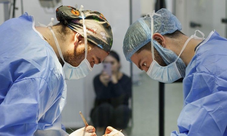 For first time in Georgia veterinary surgeons perform limb prosthesis ...