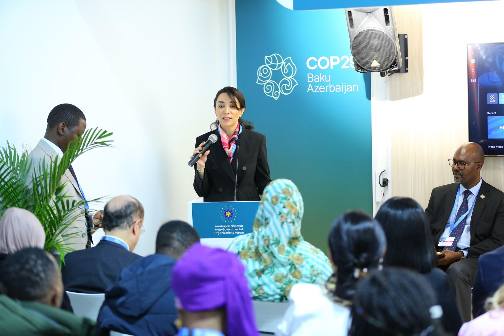 Azerbaijan's Ombudsman participates in COP29 side event on human rights ...