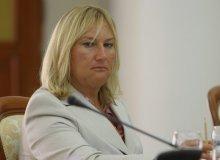 Moscow mayor's wife links attacks to 2012 election