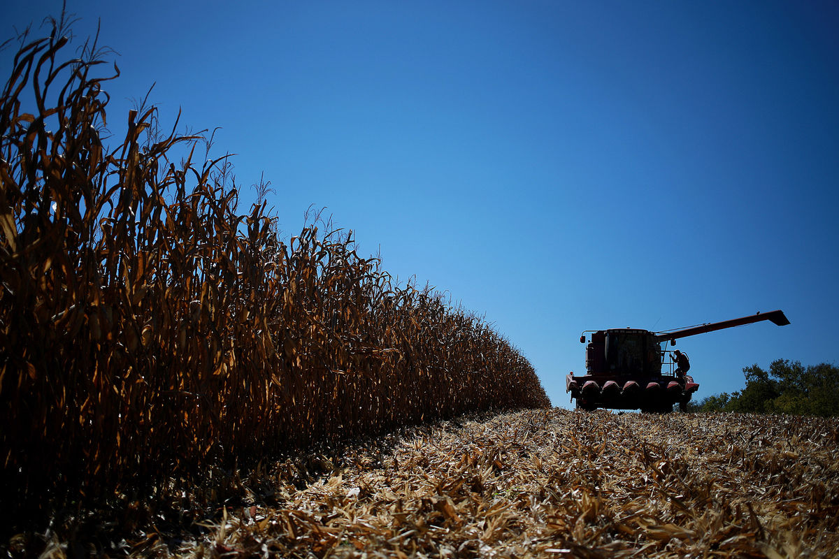 Cheap oil also means cheap copper, corn and sugar: commodities