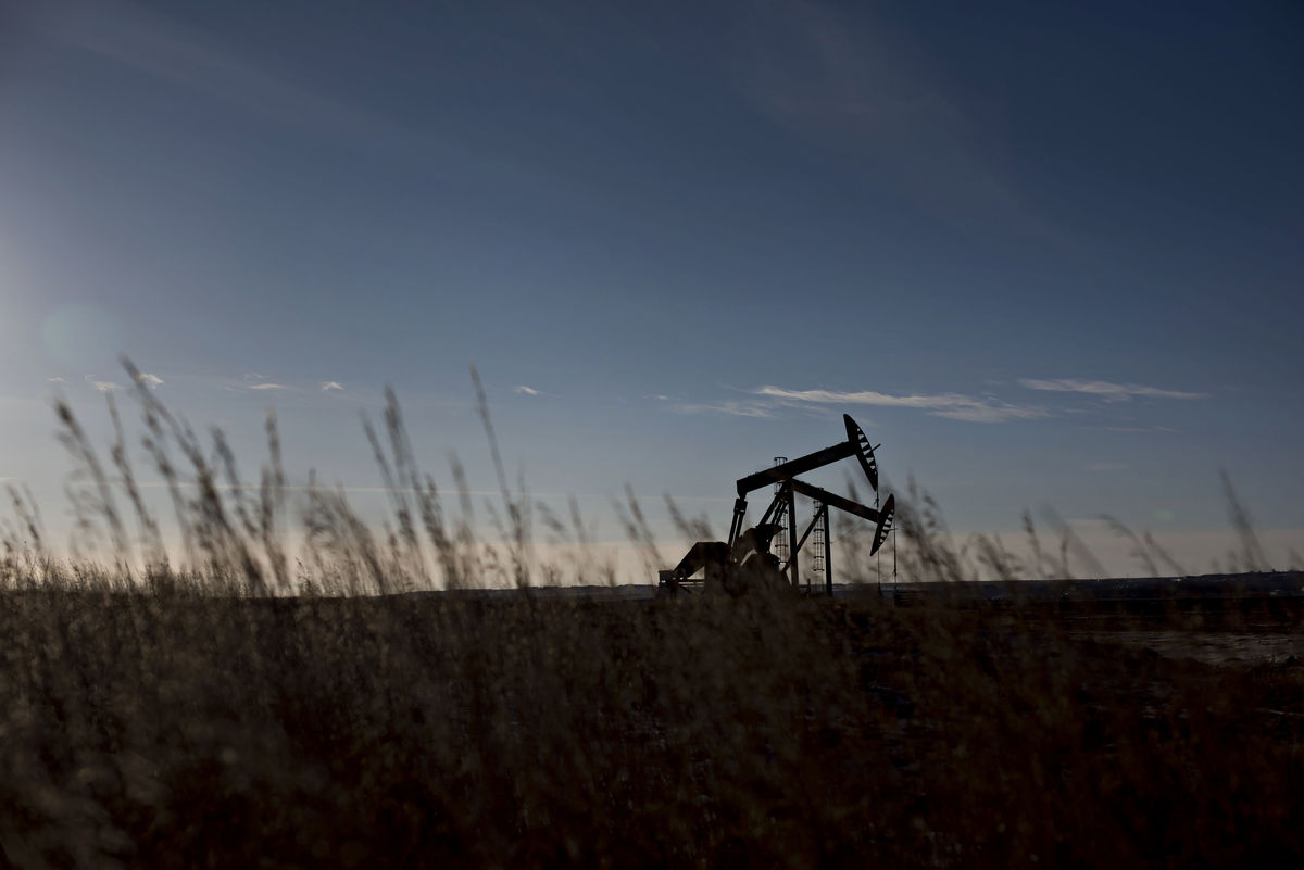 Hedge Funds raise bullish oil bets as drillers idle rigs: energy