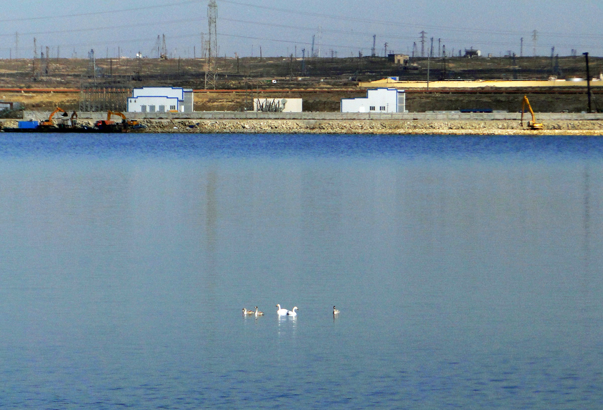 WB to discuss Absheron lakes clean up