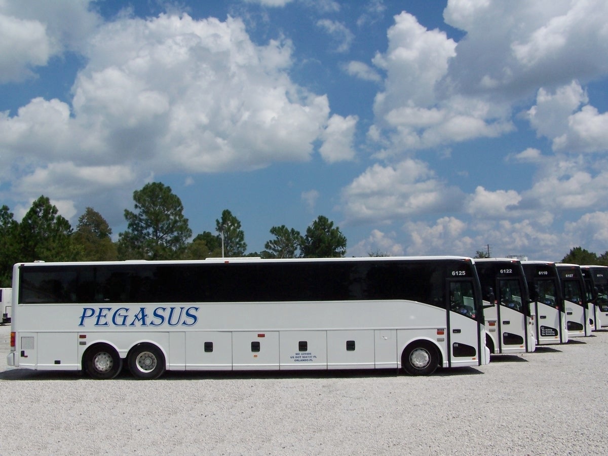 Turkish Pegasus to offer shuttle bus services from Baku to Gabala
