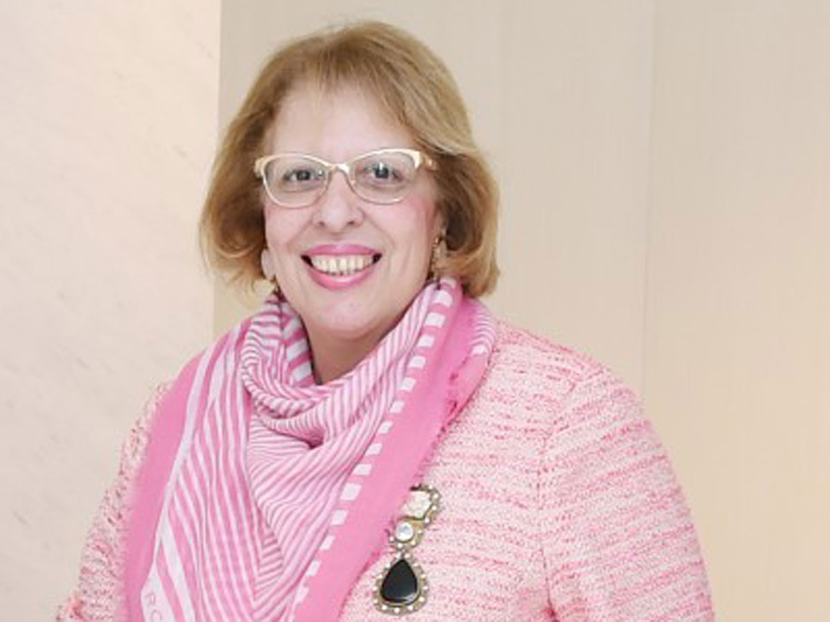 Cairo seeks to strengthen political bonds with Baku